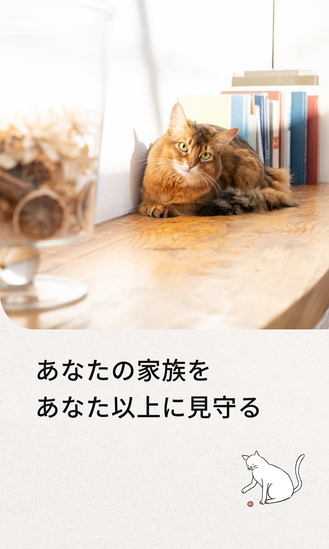 miruto公式オンラインストア