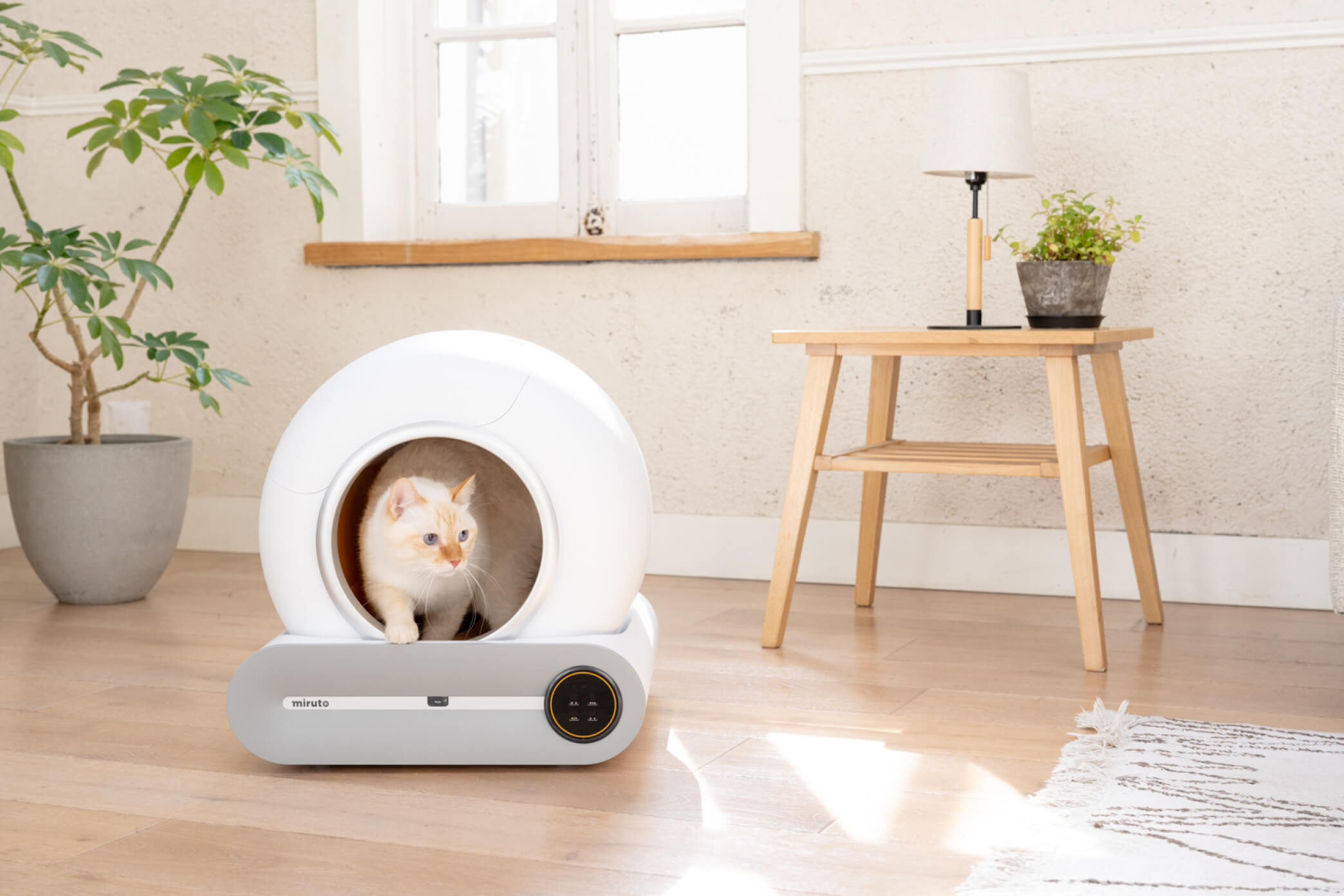 miruto（ミルト）公式サイト