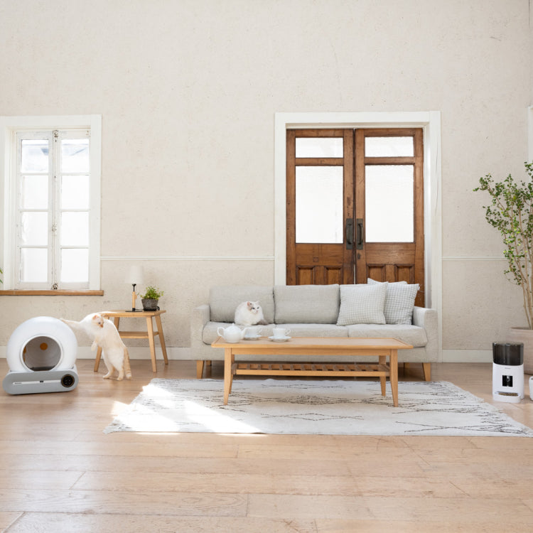 miruto（ミルト）公式サイト