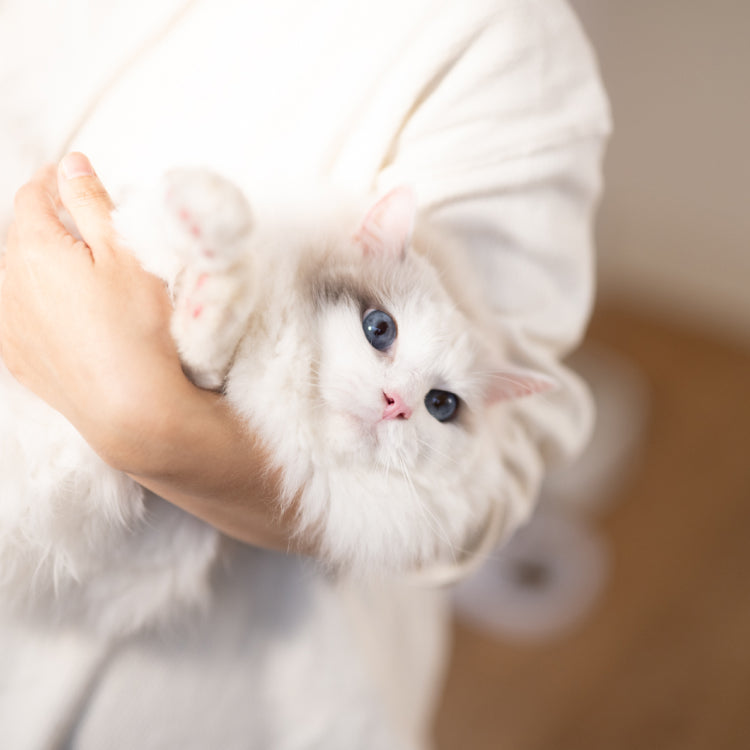 miruto（ミルト）公式サイト